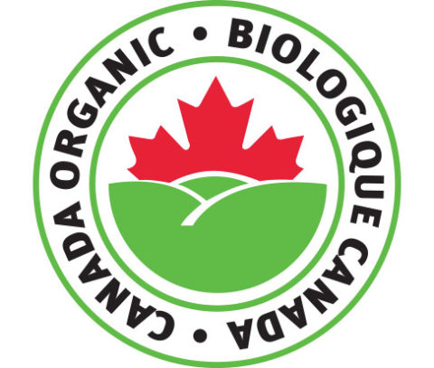 Organic Fermented Sides & Condiments | Green Table Ferments